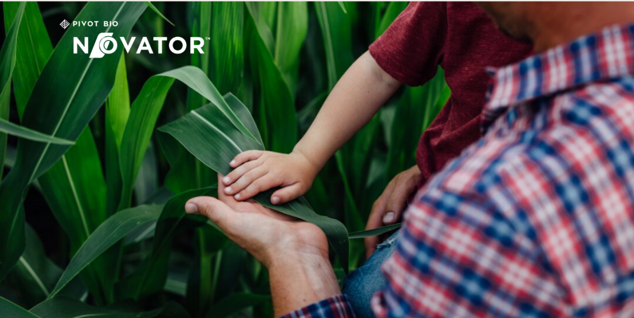 Pivot Bio | Storby Seed